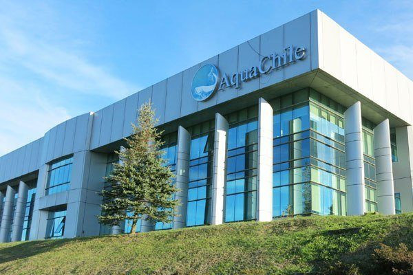AquaChile Adquiere el 100% de Salmones Magallanes y Pesquera Edén