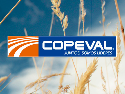 Fondo de Inversión Proveedores Copeval designa Comité de Vigilencia