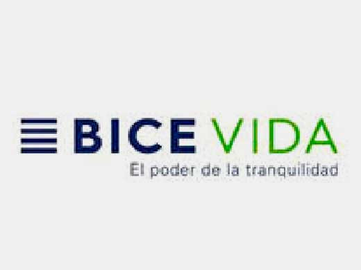 Sesionó nuevo Directorio de BICE Vida Compañía de Seguros