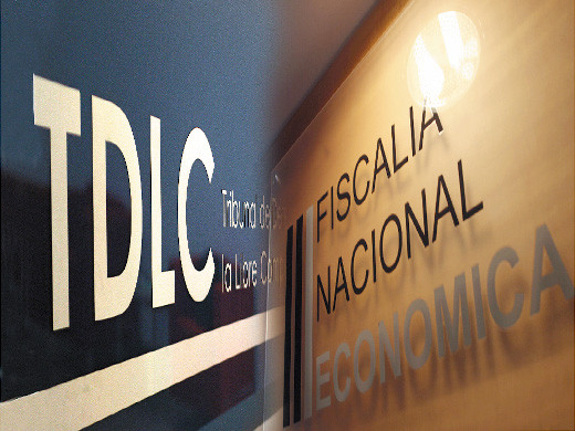 FNE propone al TDLC ajustes a las reglas de acceso y funcionamiento del ...