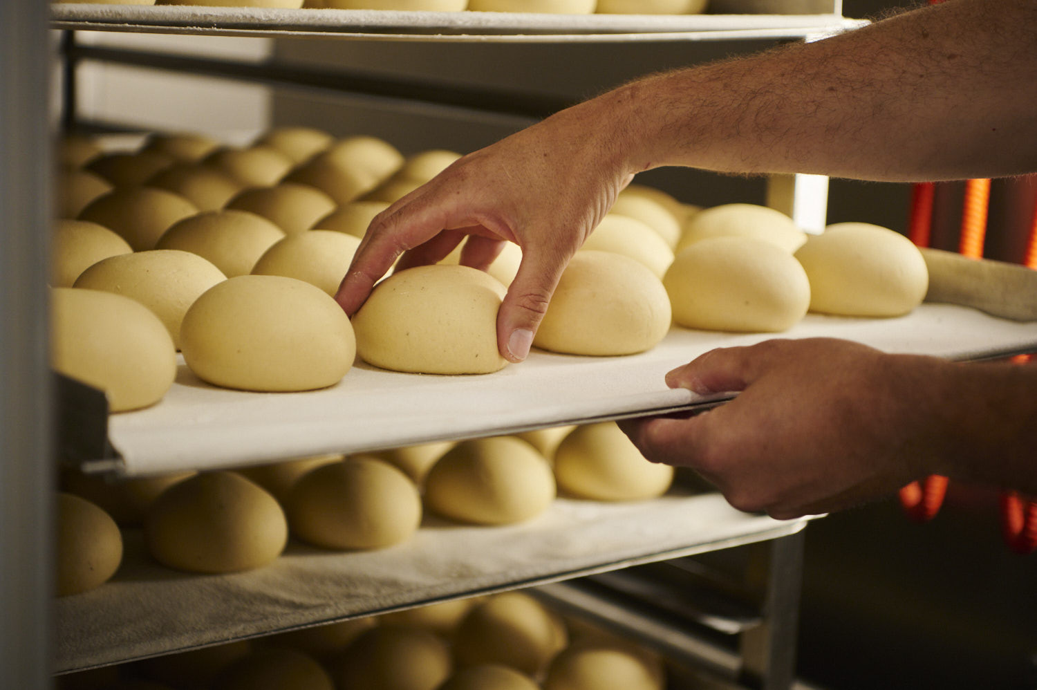 Europea CSM Ingredients elige a Chile como “primera piedra” en América ...