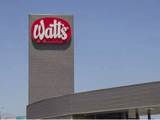 Watt's eligió a presidente, vicepresidente y miembros del Comité de ...