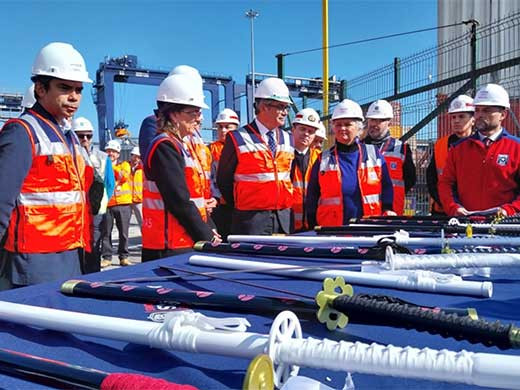 Decomiso de Catanas: Aduanas se querella por infringir ley sobre ...