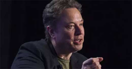 Musk reitera que "solo AfD" salvará Alemania en un debate con la ...